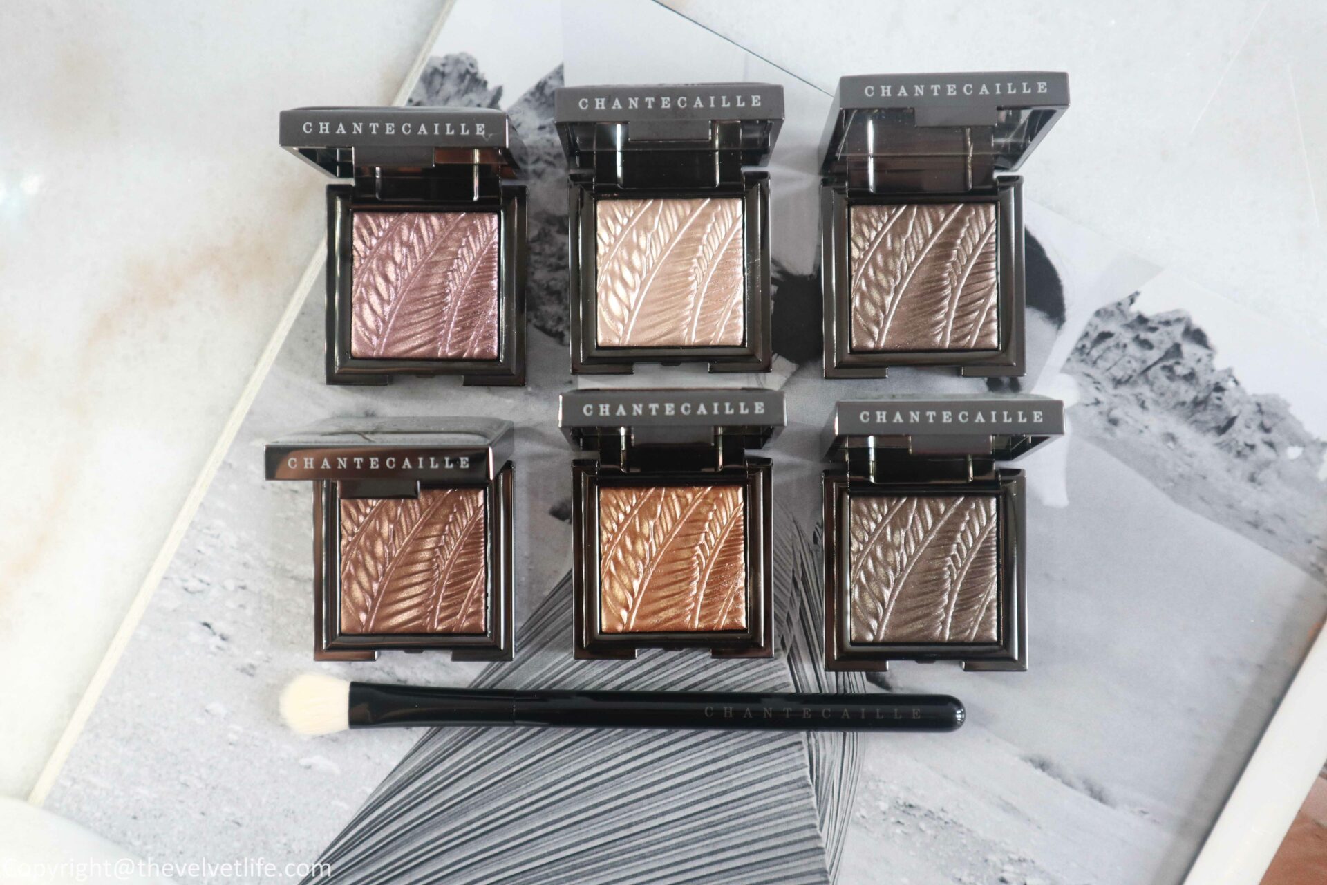 Chantecaille Luminescent Eye Shades Review - The Velvet Life
