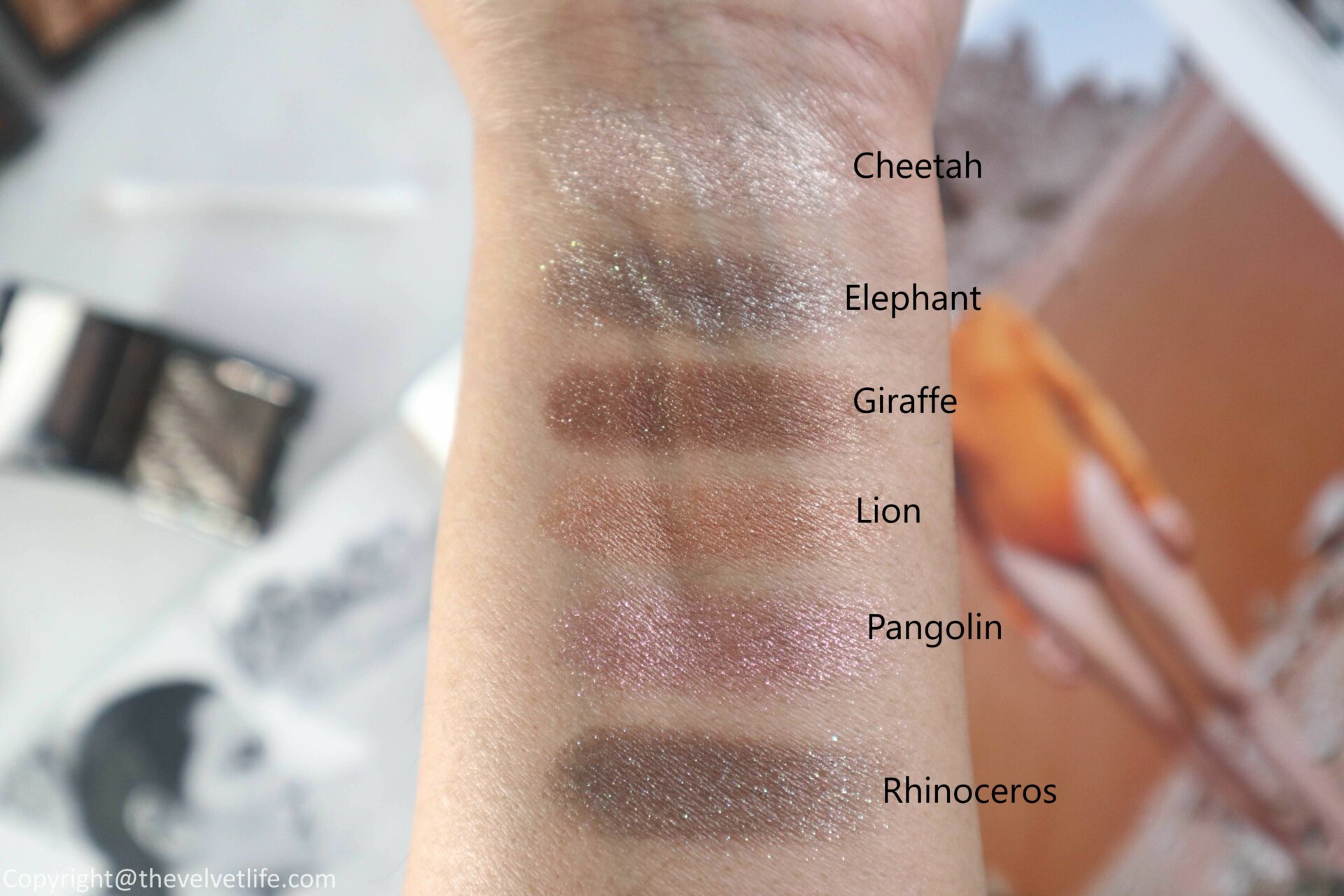 Chantecaille Luminescent Eye Shades Review - The Velvet Life