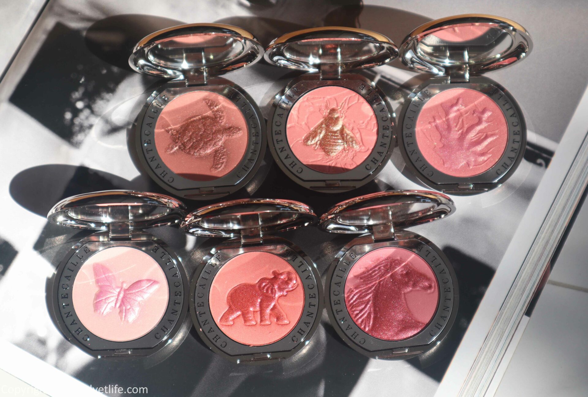 Chantecaille Philanthropy Cheek Shades Review - The Velvet Life
