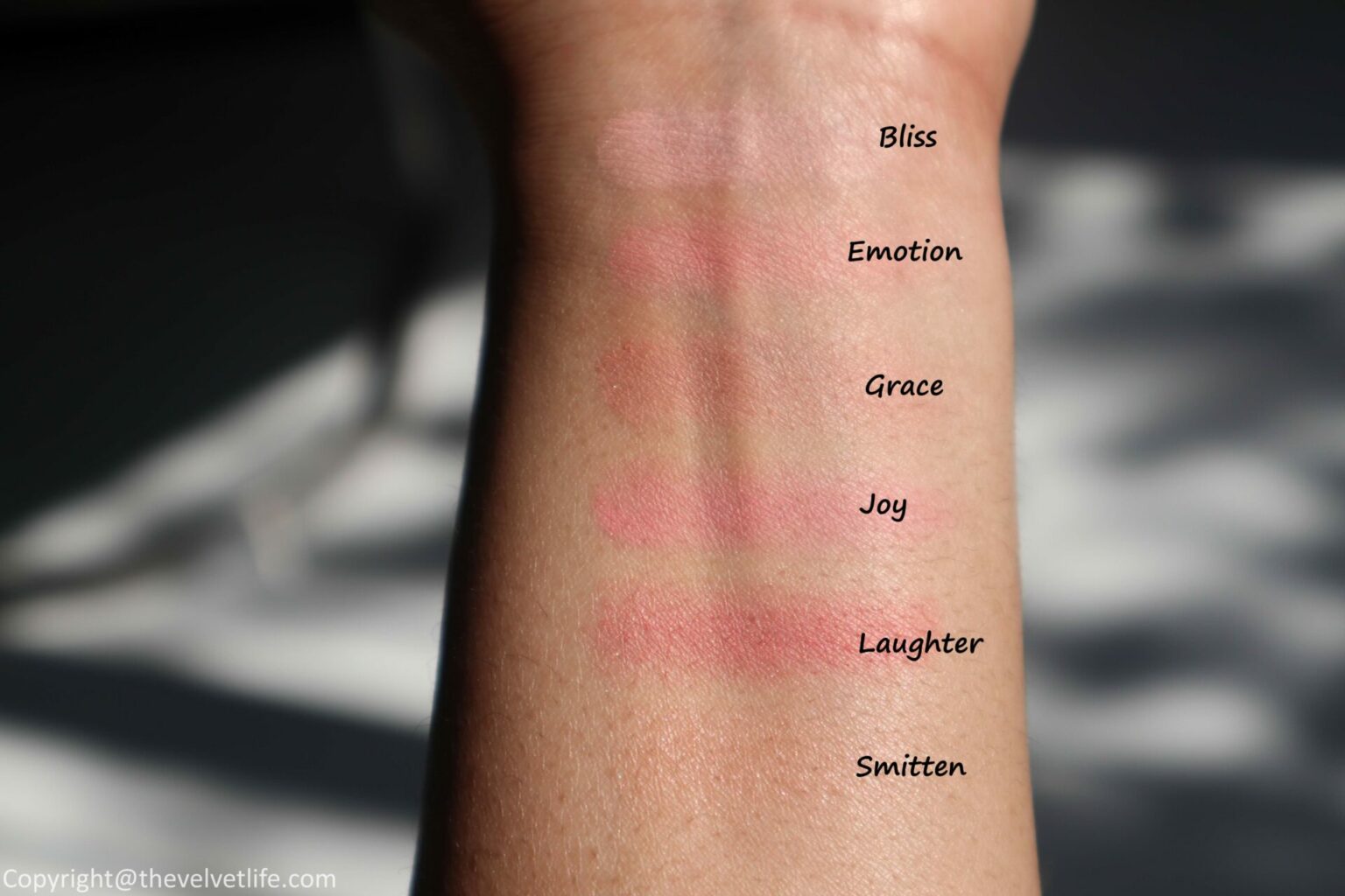 Chantecaille Philanthropy Cheek Shades Review - The Velvet Life
