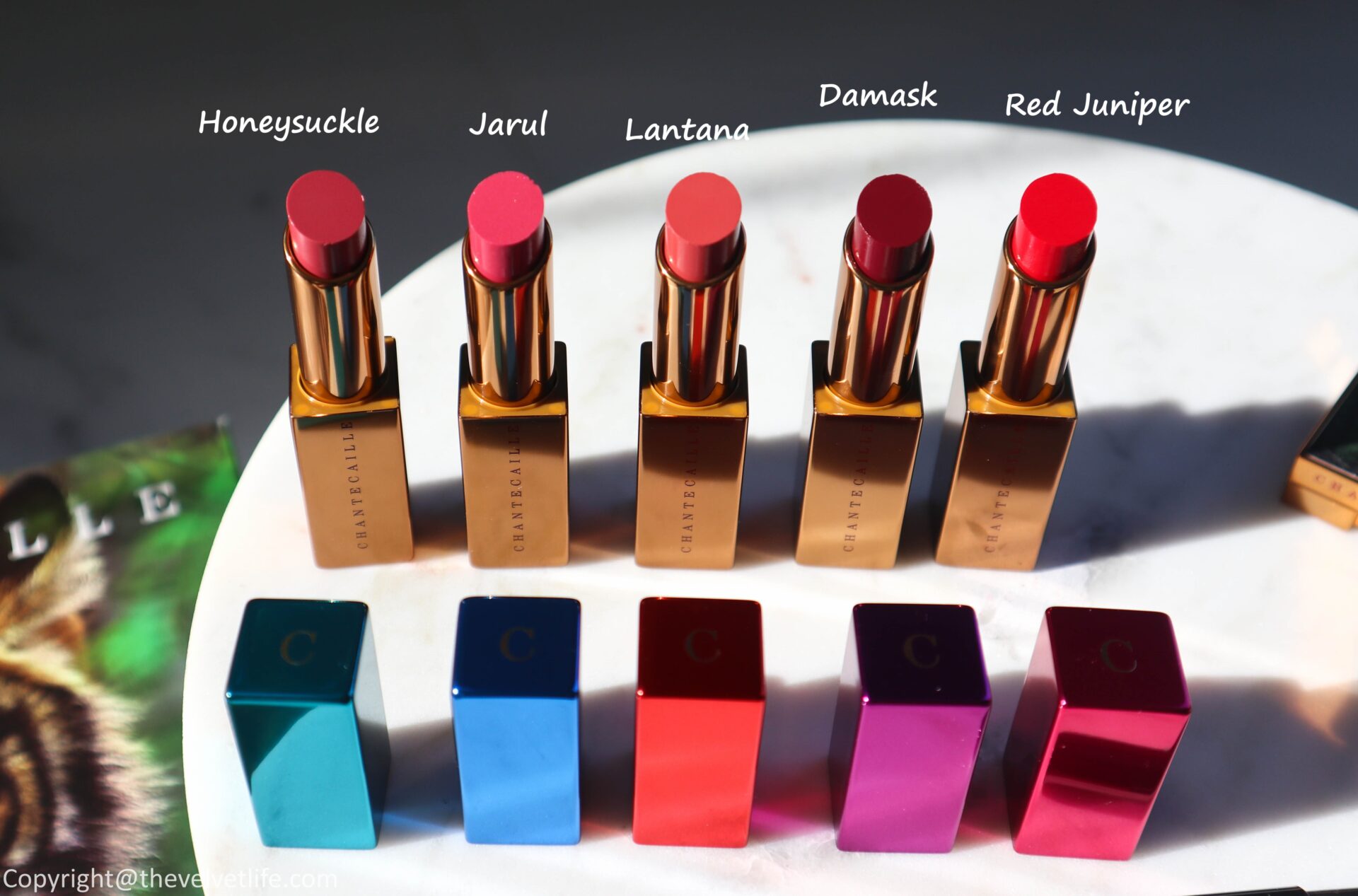 Chantecaille Fall 2021 Collection Review - The Velvet Life