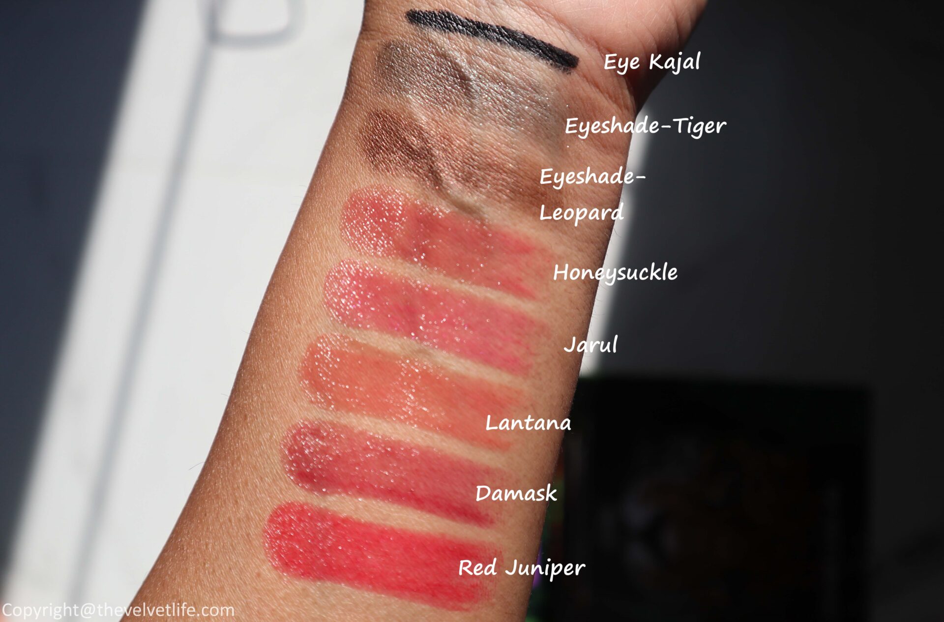 Chantecaille Fall 2021 Collection Review - The Velvet Life