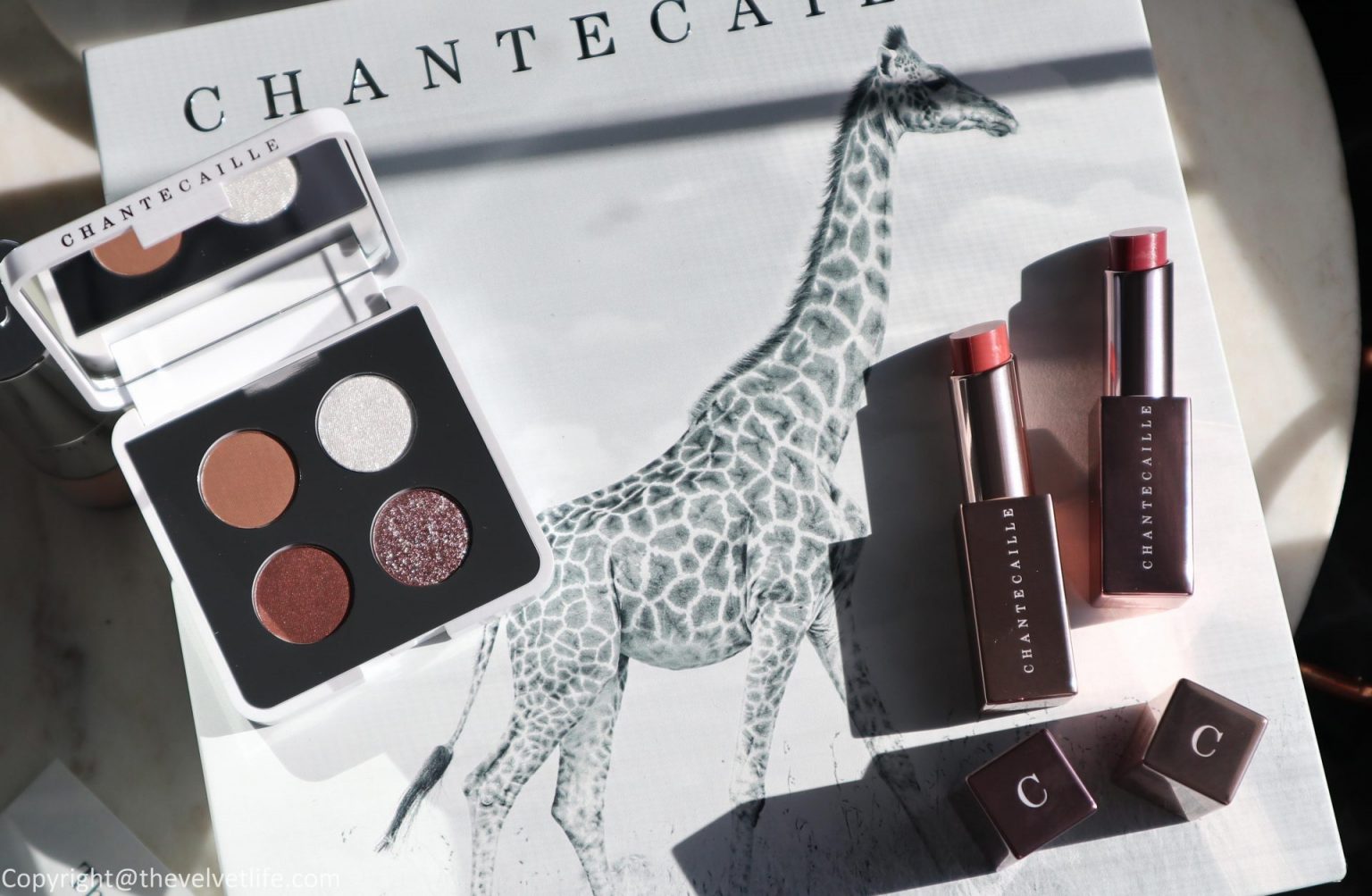 Chantecaille Giraffe Eye Quartet