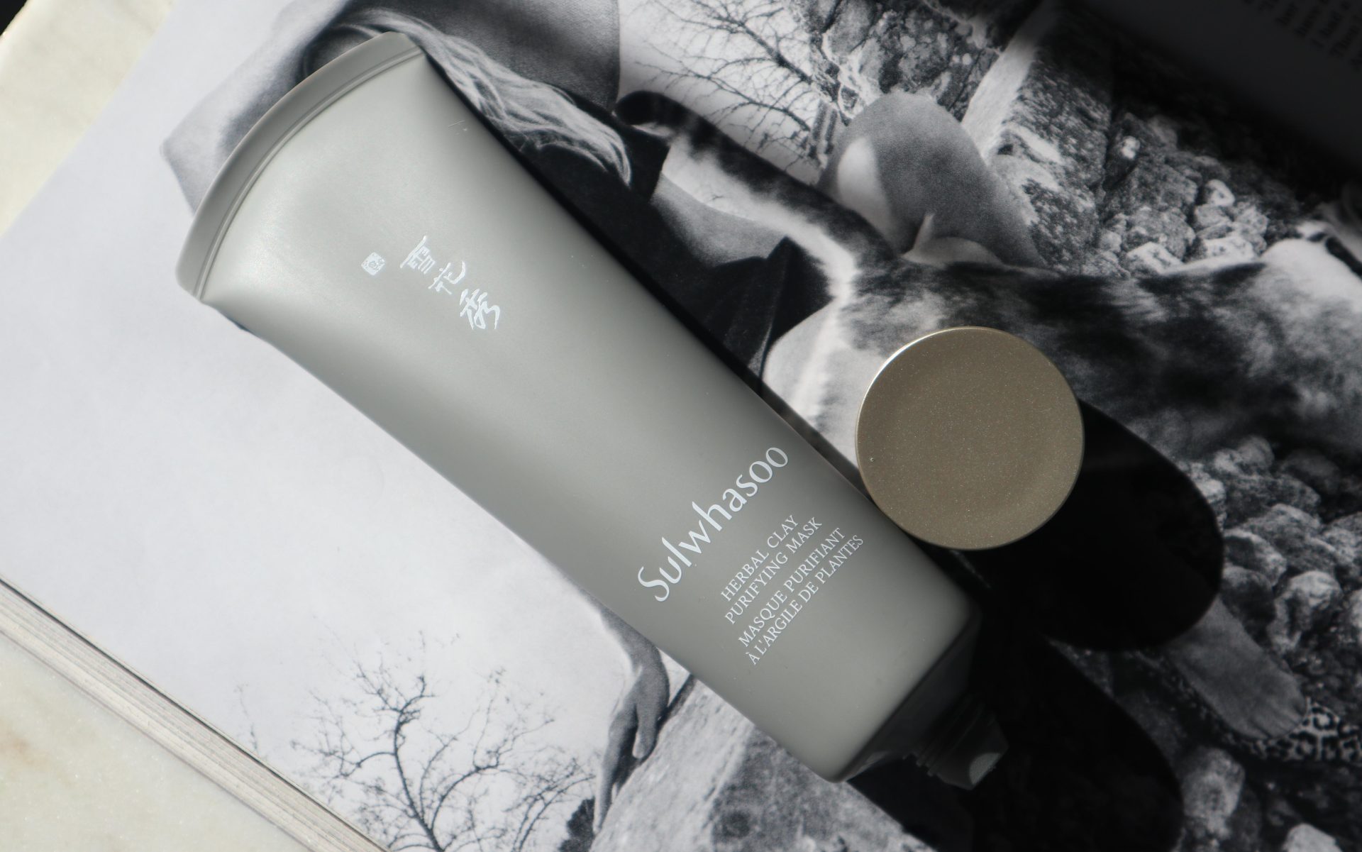 Sulwhasoo Herbal Clay Purifying Mask Review - The Velvet Life